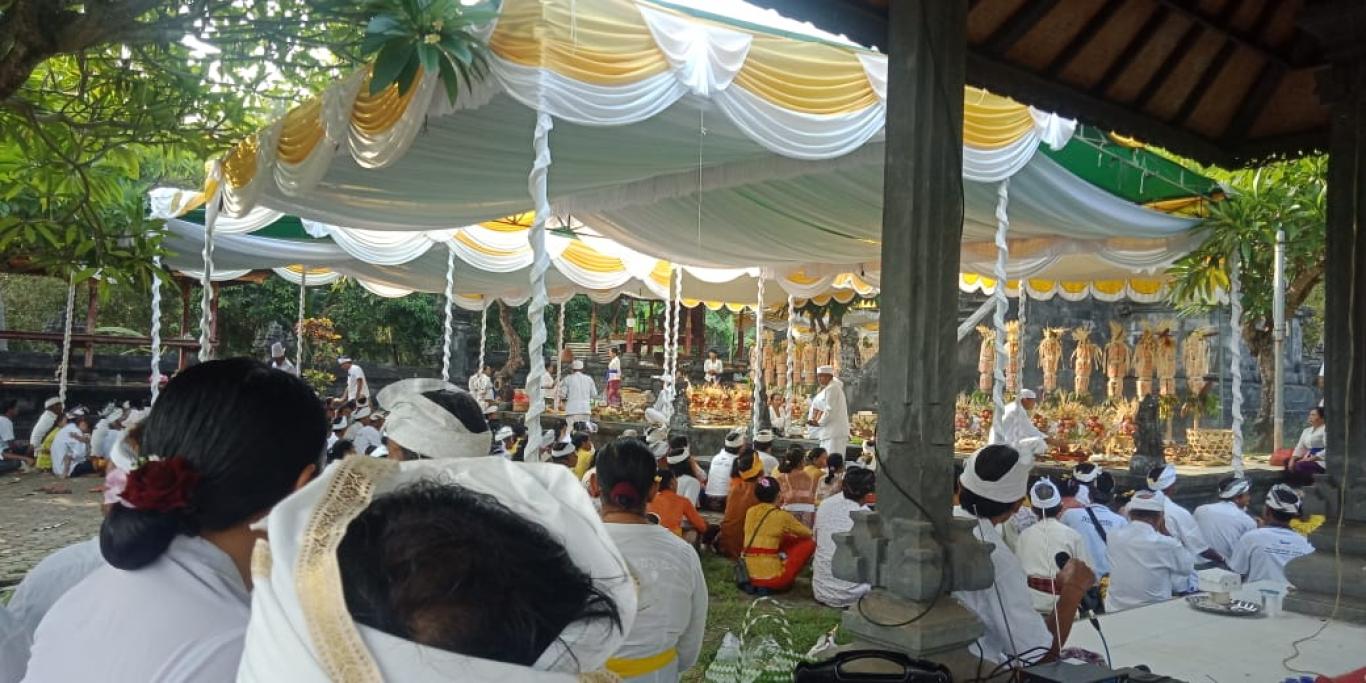 NEBAS MASSAL GELOMBANG KEDUA DI PURA DALEM PINGIT - Website Desa Les